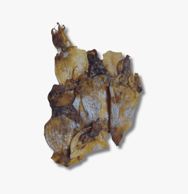Dried Pusit
