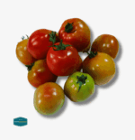 Kamatis (Tomatoes)